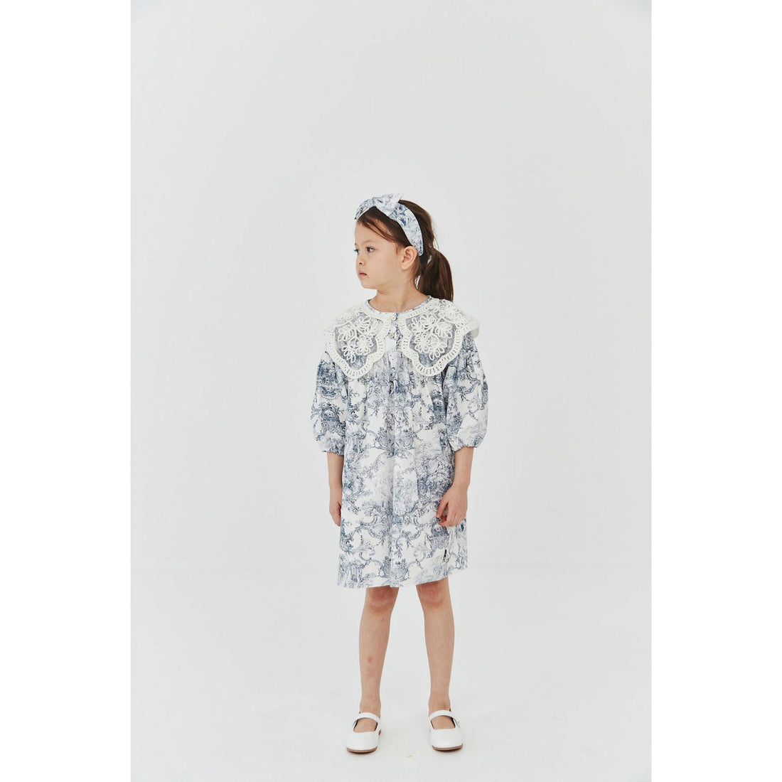 Petite Hailey French Blue Lace Collar Dress – Ladida