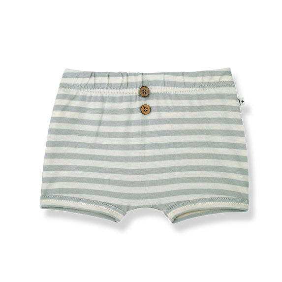 1+ in the Family Jade Salva Bloomer – Ladida