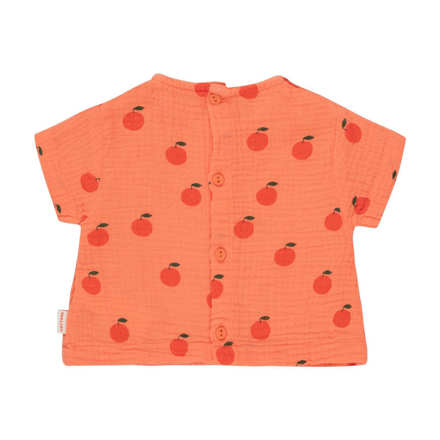 Tiny Cottons Light Red/Dark Red Oranges Baby Shirt – Ladida